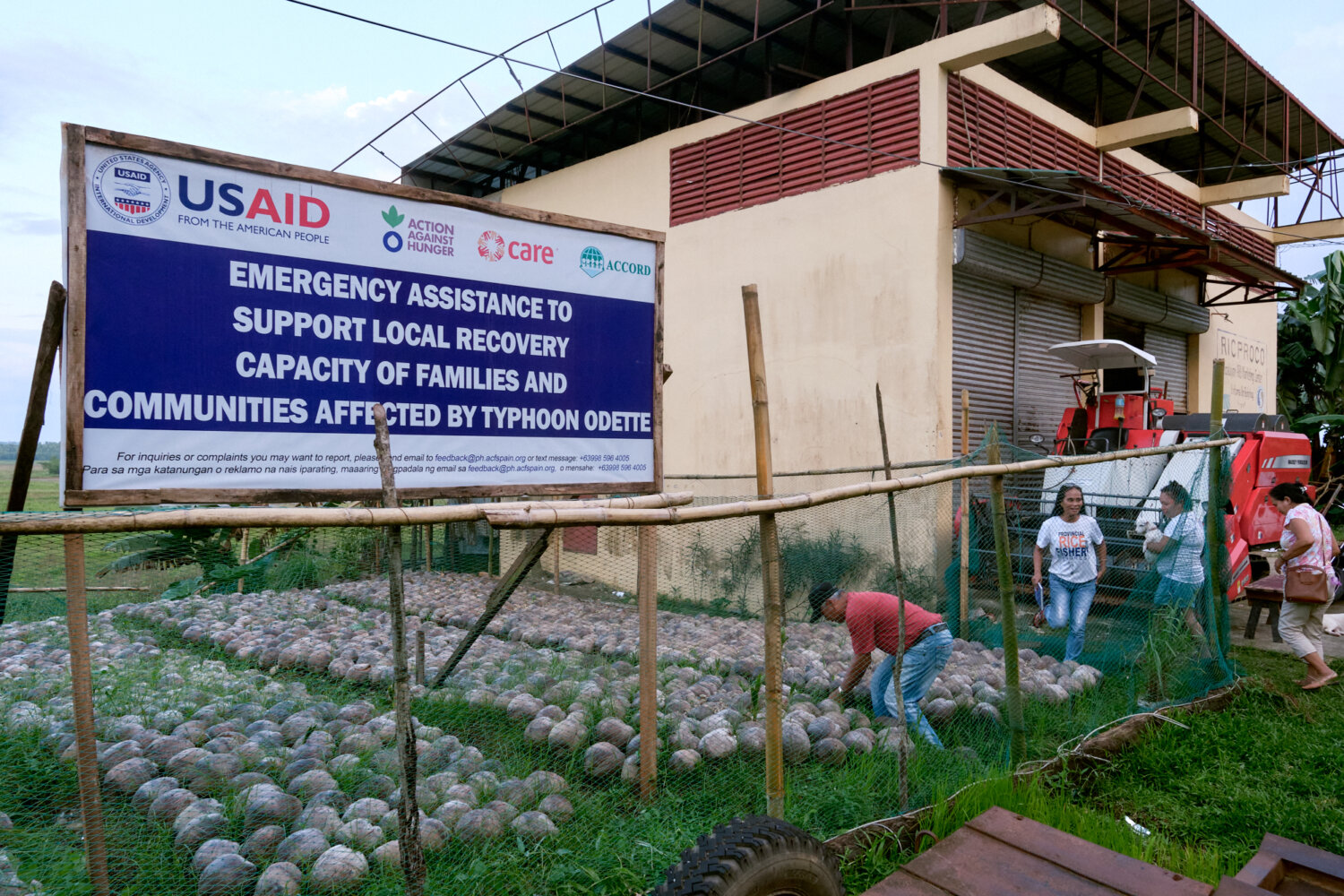 Restoring the Rice Fields After Typhoon Odette - Action Against Hunger