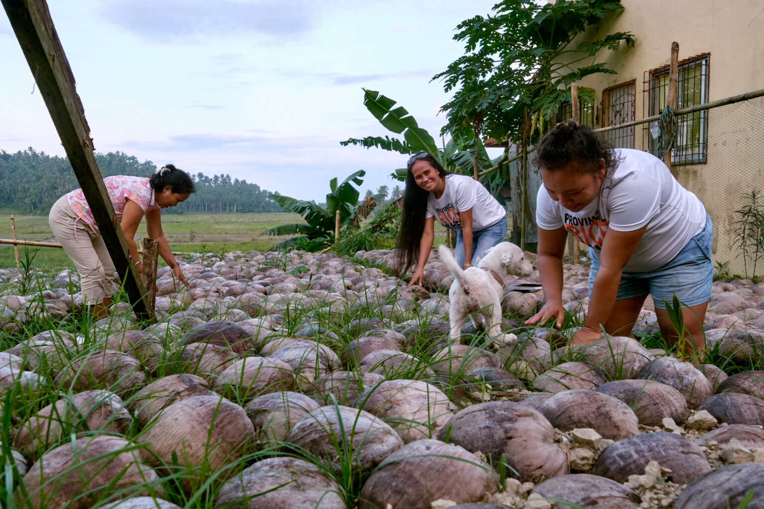 Restoring the Rice Fields After Typhoon Odette - Action Against Hunger