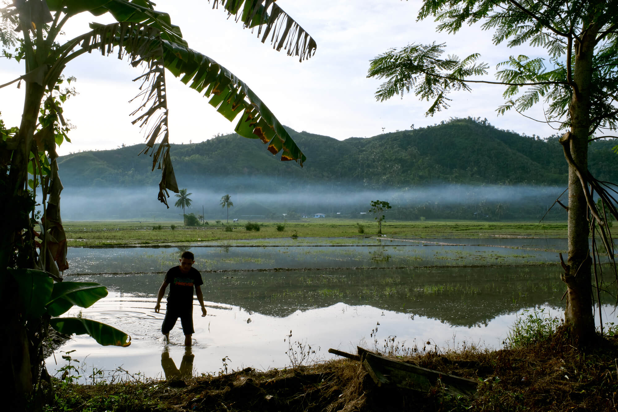Restoring the Rice Fields After Typhoon Odette - Action Against Hunger