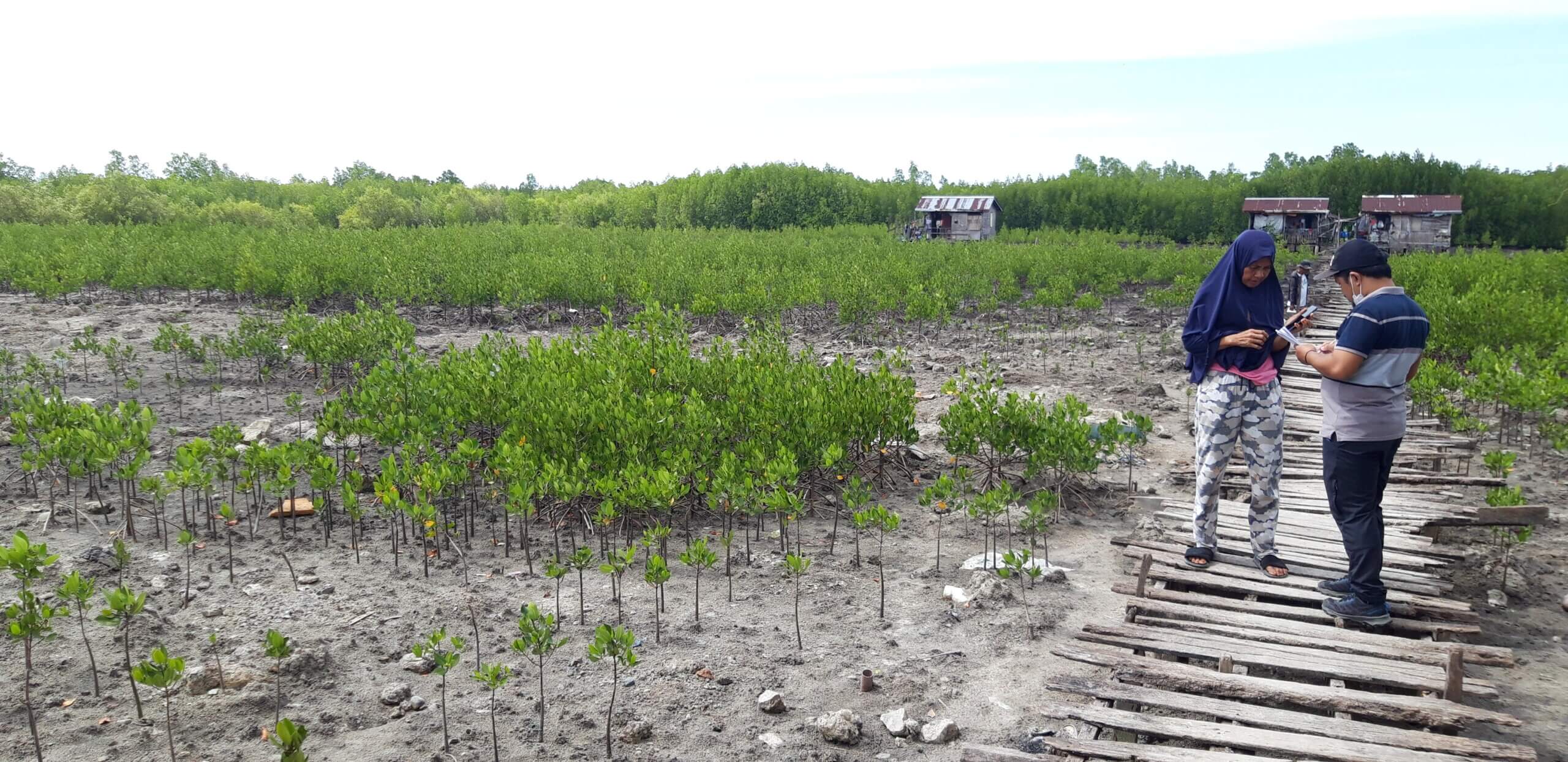 COMBATING THE ENVIRONMENTAL IMPACT OF HUMANITARIAN CRISES IN THE ...